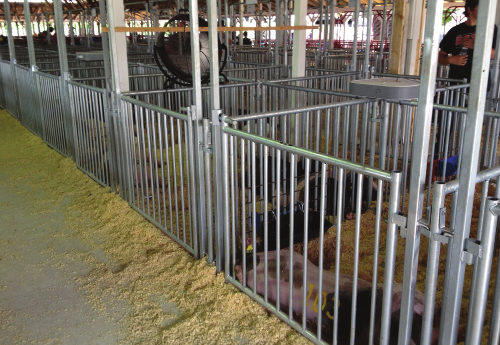 Titan Livestock Pens – Sheep, poultry and pig pens – Titan Livestock Pens